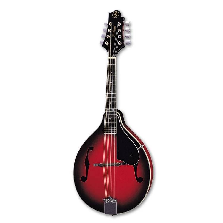 Greg Bennett MA2 VS Mandolin