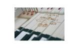 Schimmel Piano C116 Tradition kopen?
