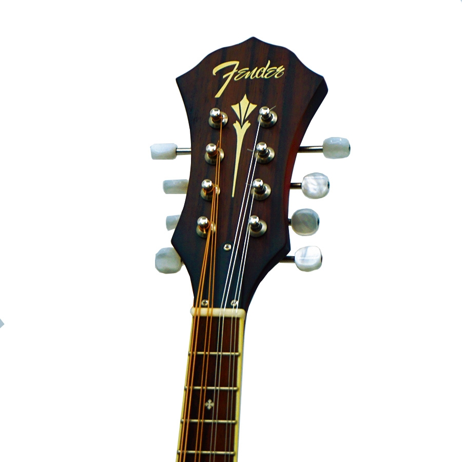 Fender PM-180E Mandoline Occasion