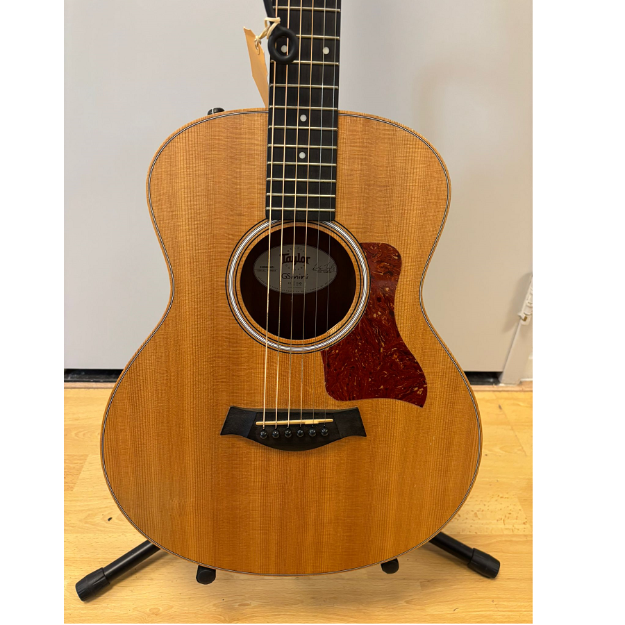 Taylor GS Mini E Rosewood - Occasion
